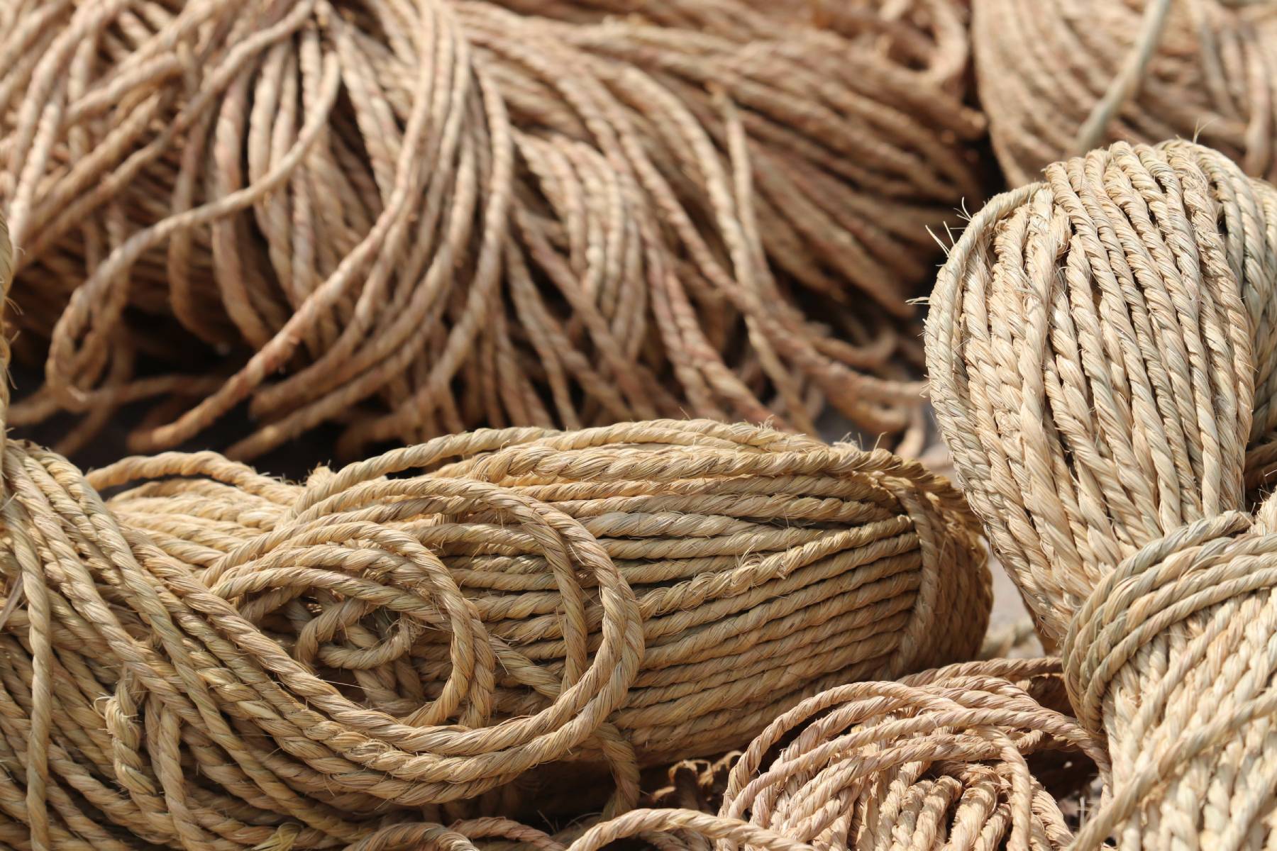 Making Cordage From Natural Materials Mother Earth News